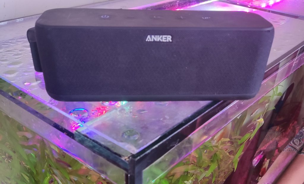 Do Fish Like Music and How Sound Impacts Your Tank